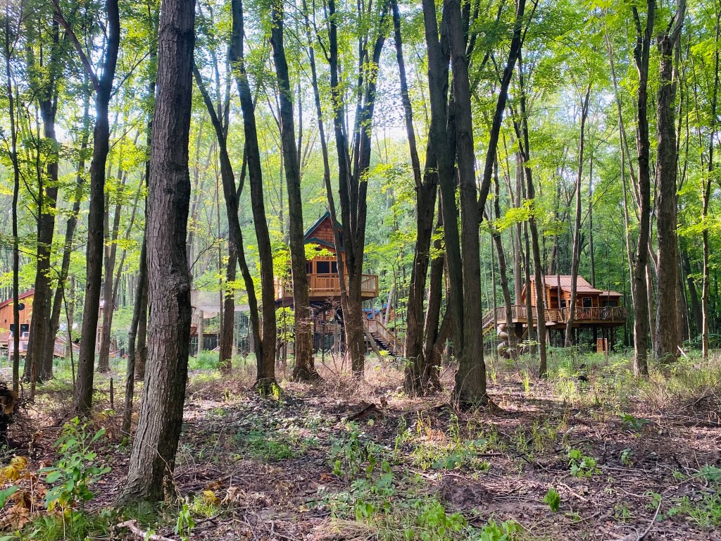 Sleep in the Trees this Summer at The Cannaley Treehouse Village Plus ...