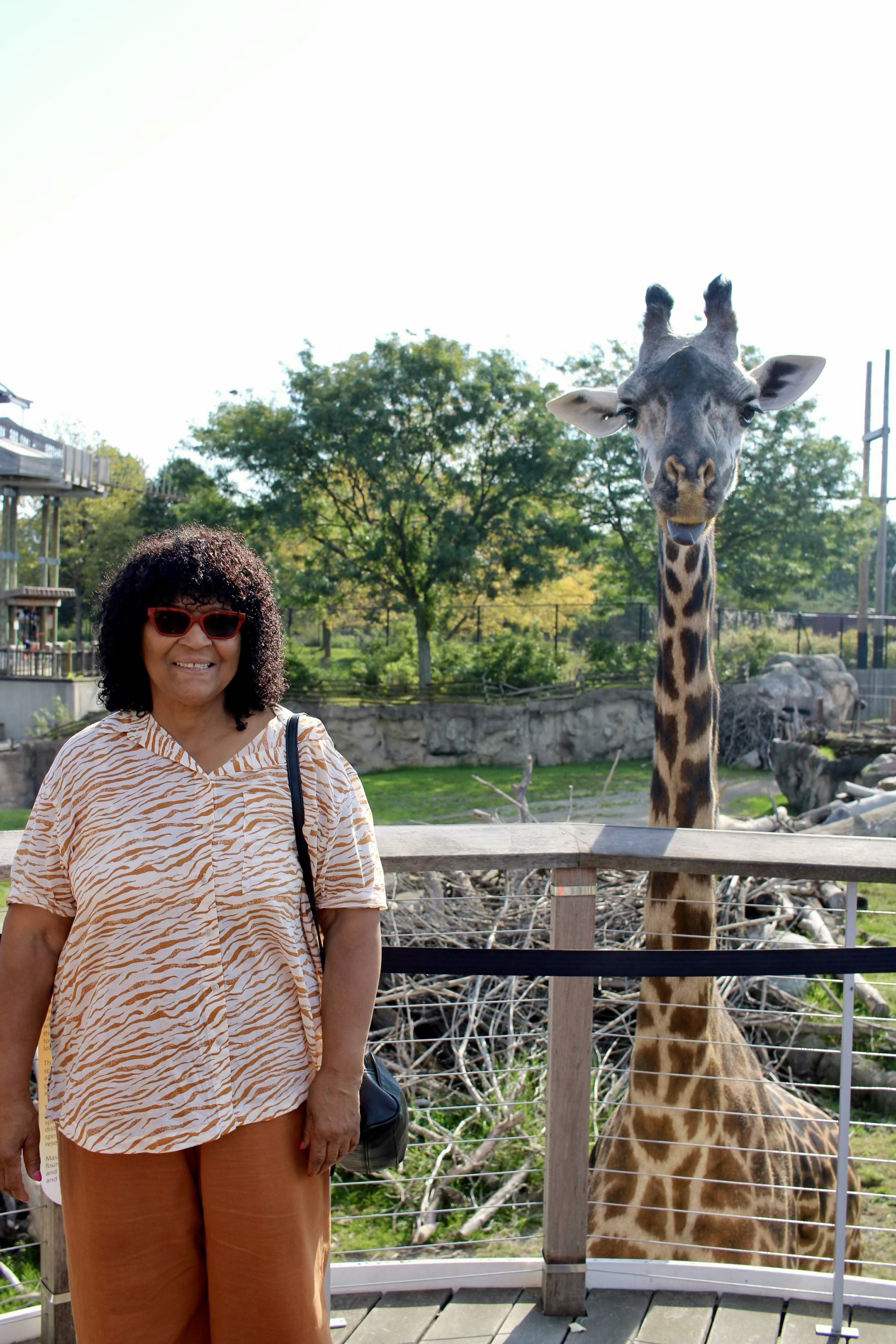 Senior Discovery Days at The Toledo Zoo: A Perfect Outing for Seniors ...
