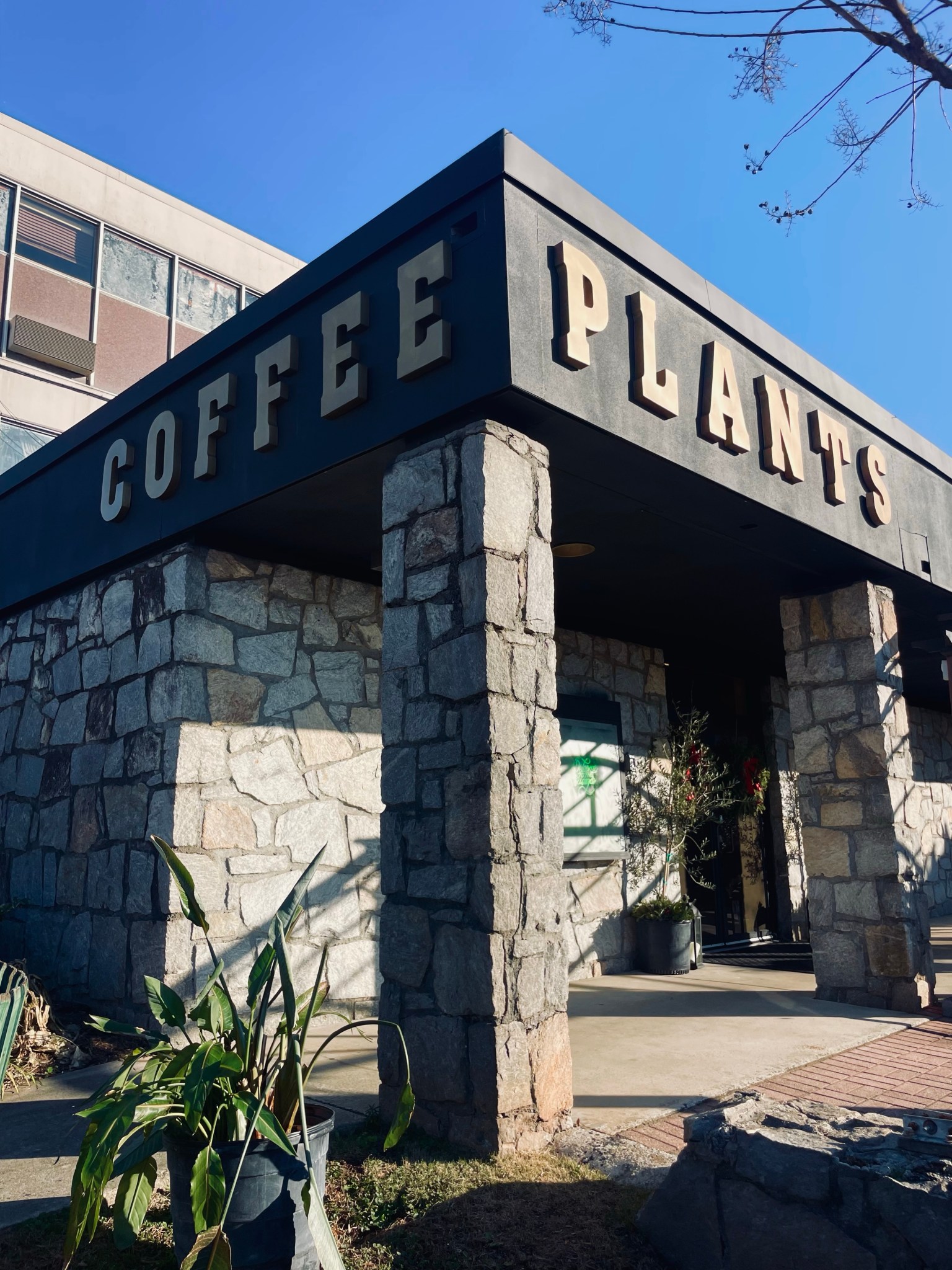 Coffee + Plants: A Perfect Blend of Self-Care at Buds Atlanta – Shana ...