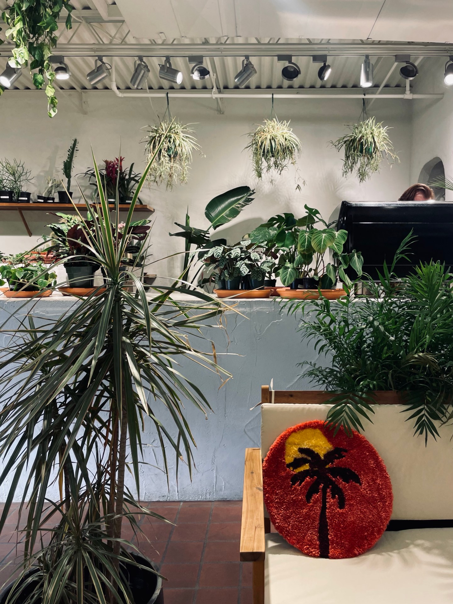 Coffee + Plants: A Perfect Blend of Self-Care at Buds Atlanta – Shana ...
