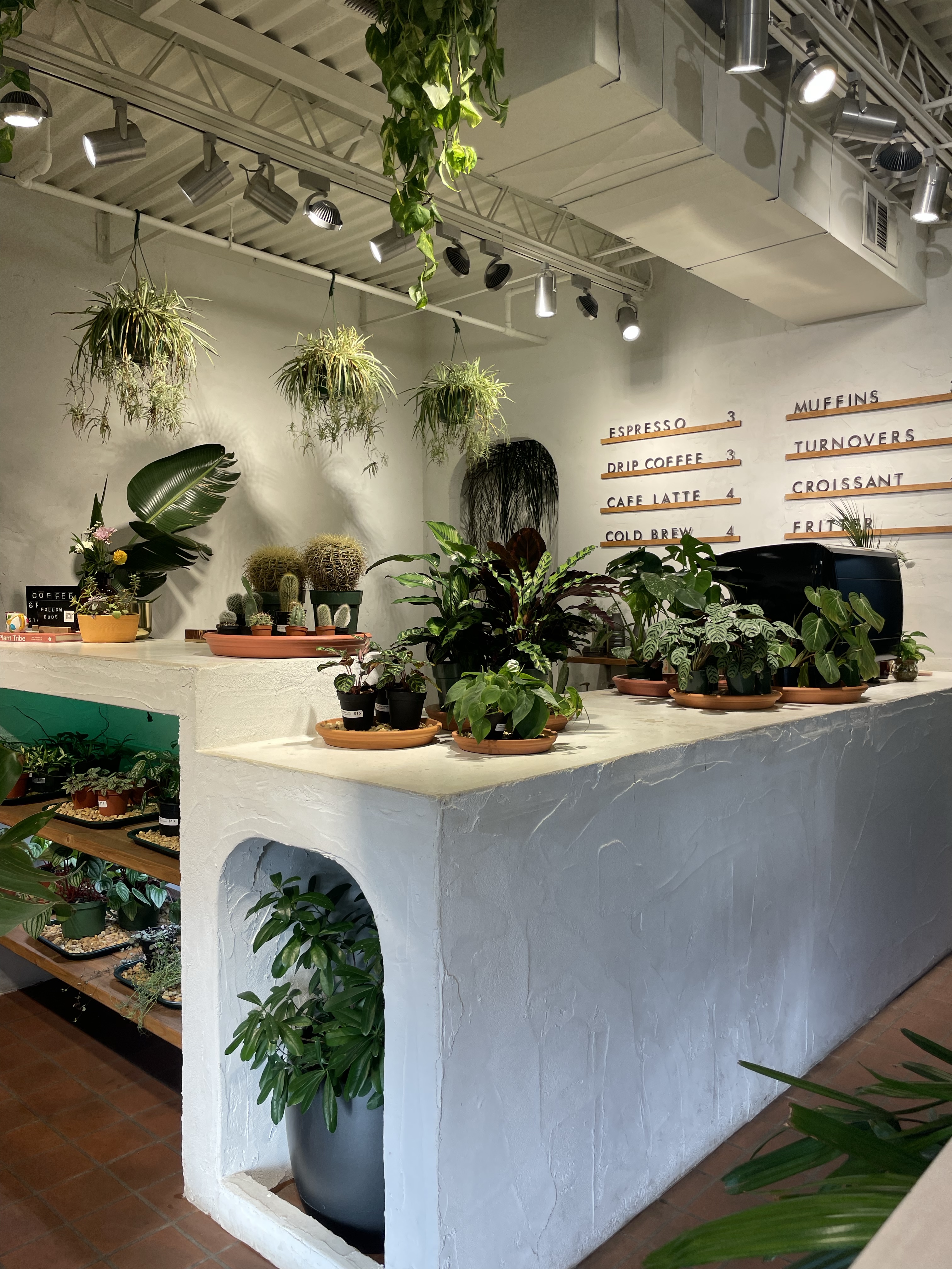 Coffee + Plants: A Perfect Blend of Self-Care at Buds Atlanta – Shana ...