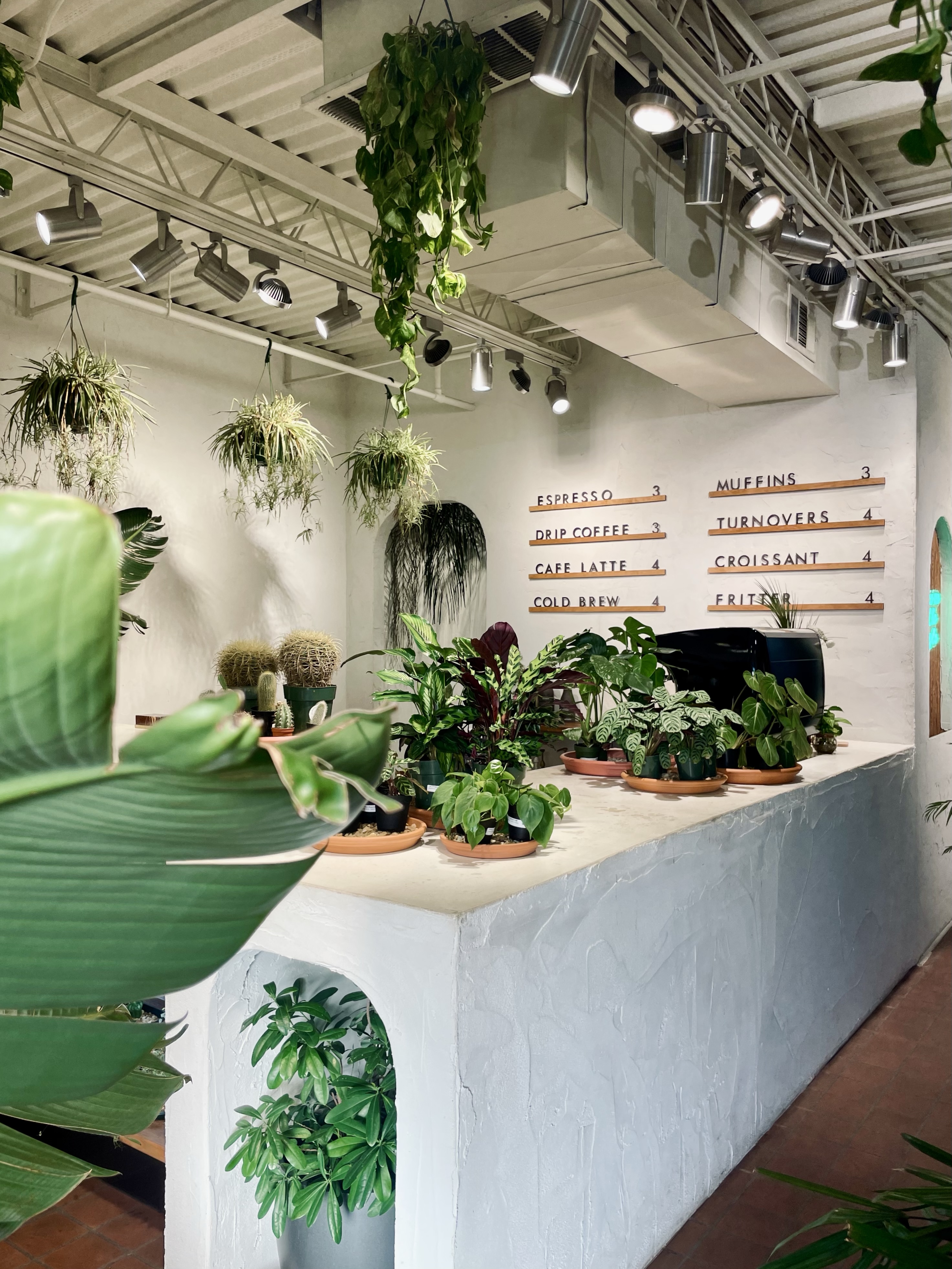 Coffee + Plants: A Perfect Blend of Self-Care at Buds Atlanta – Shana ...